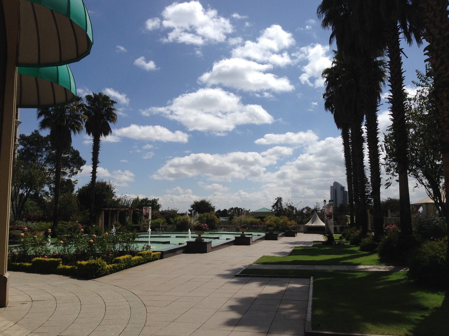 6 Tips for Visiting Addis Ababa, Ethiopia — CHOP LIFE AND TRAVEL