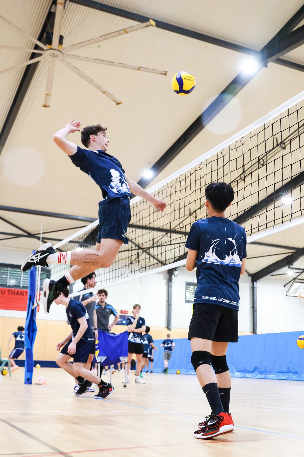 Sharks Volleyball