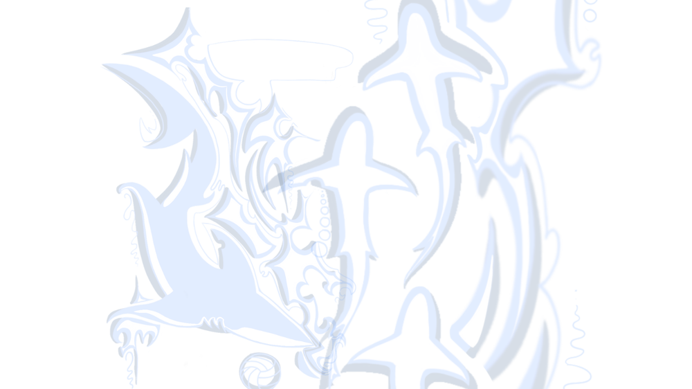 Sharks Camp | Join Now, Excel Fast — Sharks Volleyball