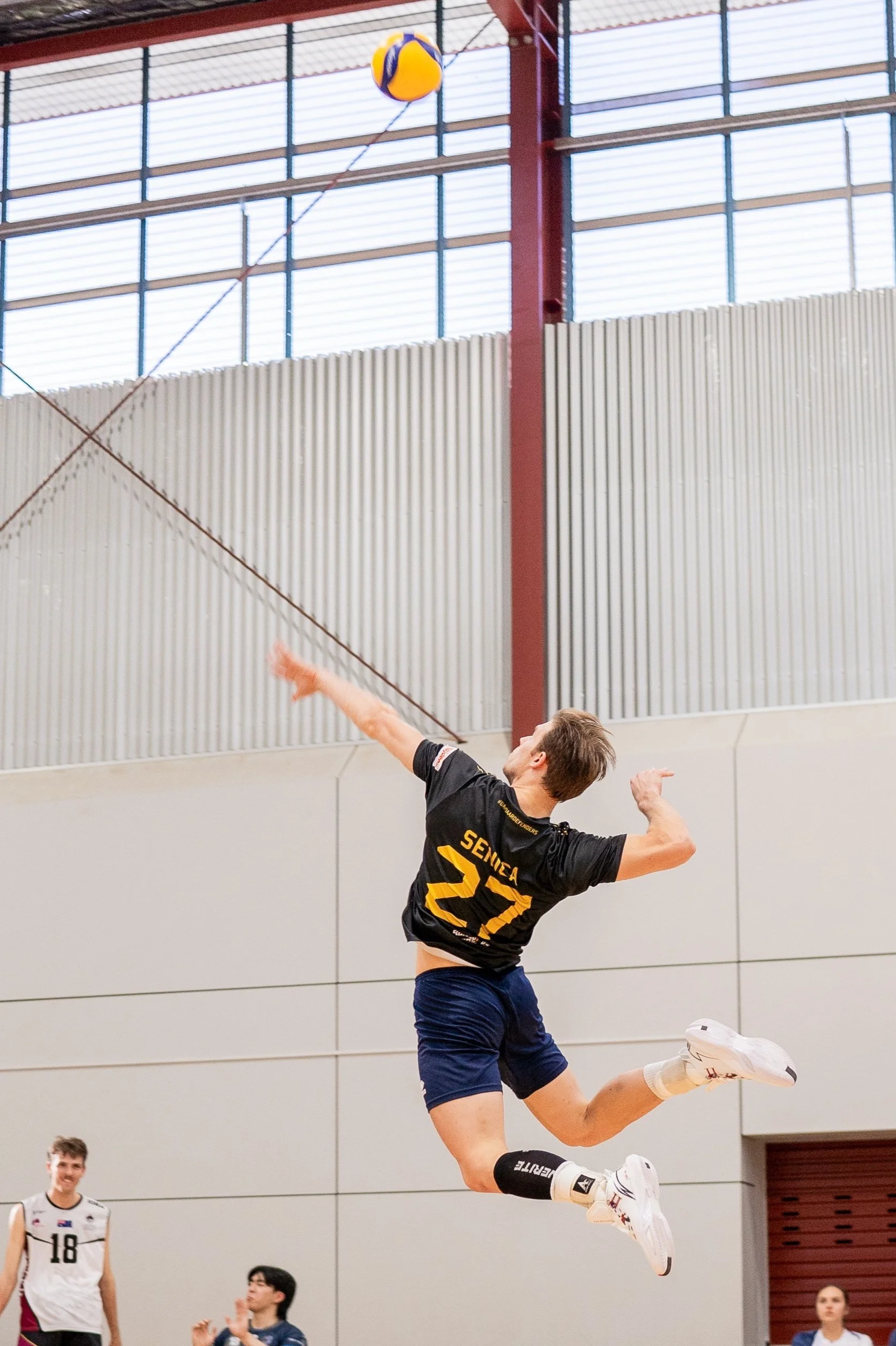 High-Performance Academy — Sharks Volleyball