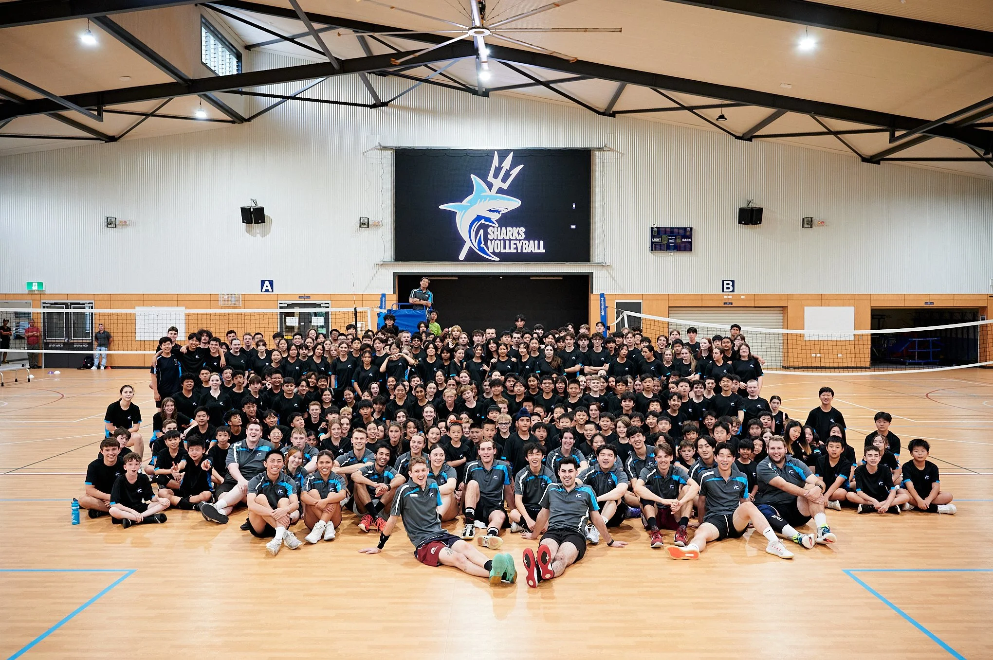 Sharks Volleyball — Sharks Volleyball