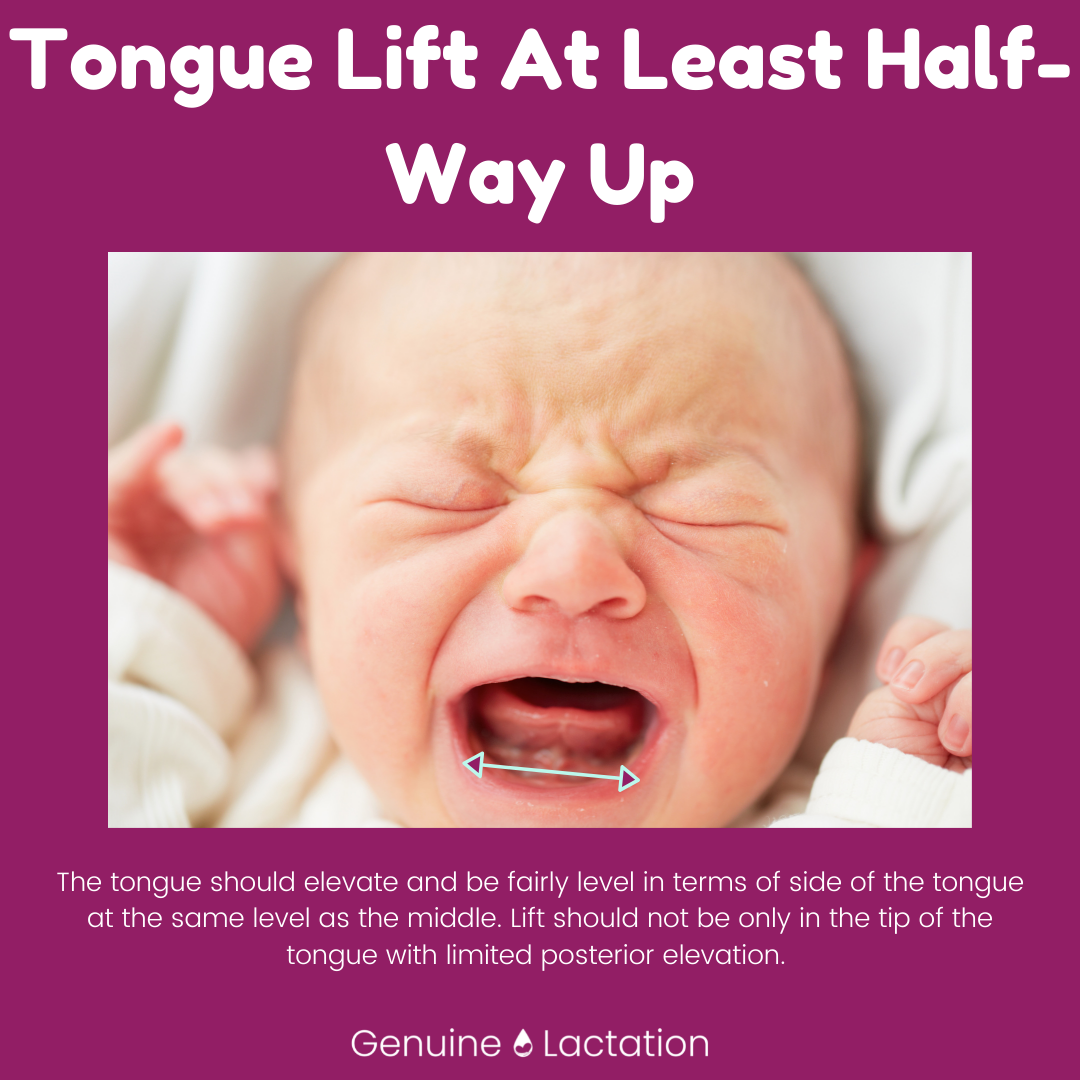 What Should your Baby’s Tongue and Jaw Do? — Genuine Lactation