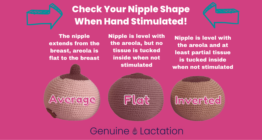 Flange Sizing — Genuine Lactation