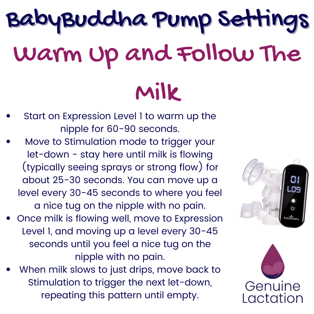 BabyBuddha Pump Settings — Genuine Lactation