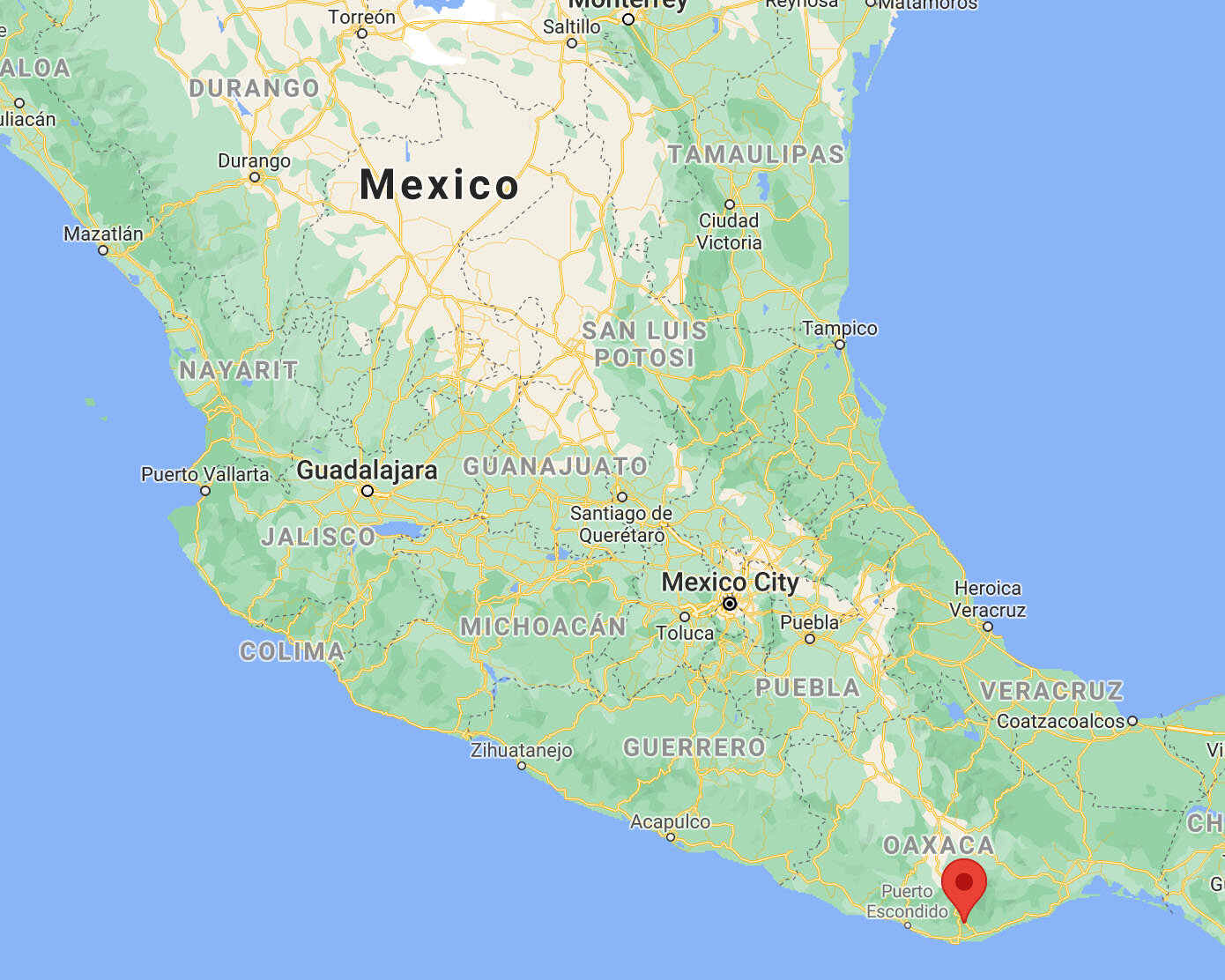 What Makes Our Mexico Pluma Hidalgo So Special? || Craig's Coffee