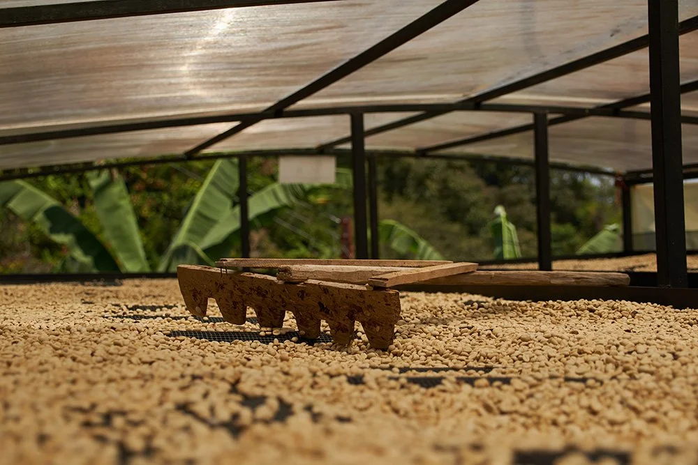 Craig's Coffee || Roasted in Detroit, MI