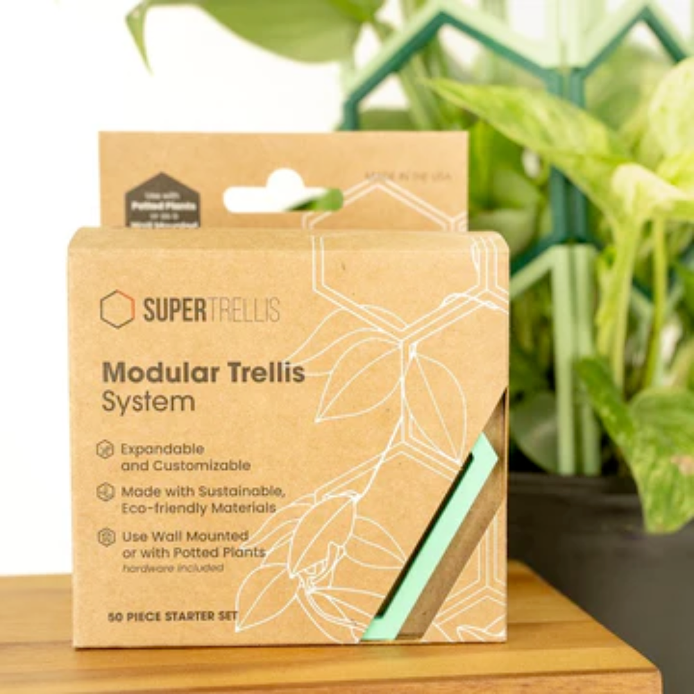 How to Design Packaging for Any Product Business — Hidden Path Creative ...