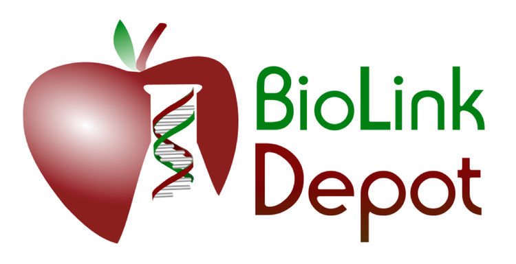 Kits Cubed | Fun and Affordable Science Projects For Kids