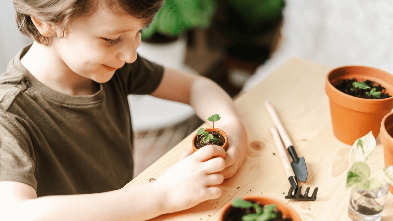 Planting Seeds Preschool Plant Worksheets For Preschoolers.