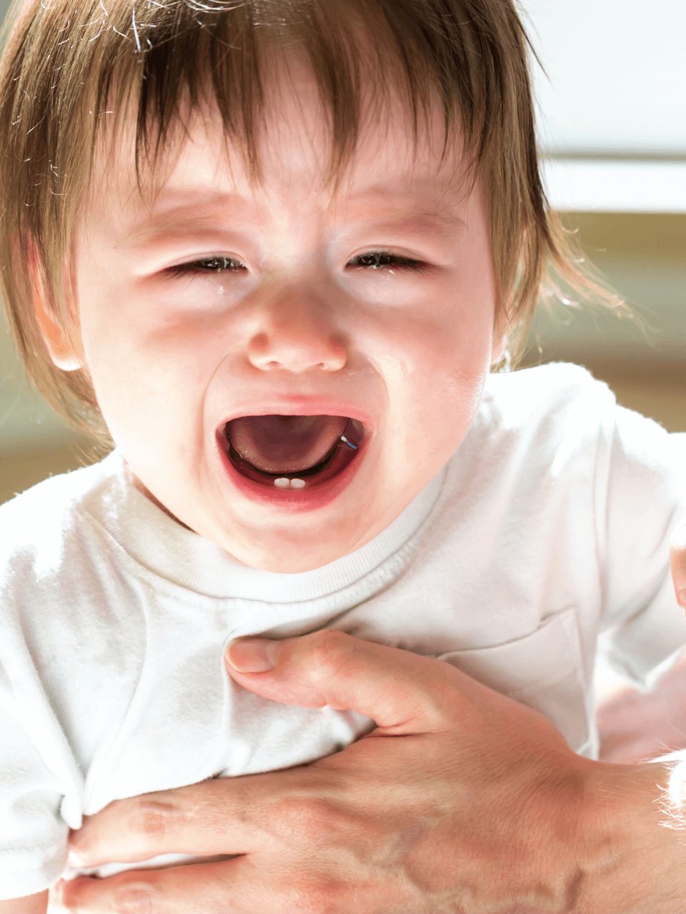 Surfing the waves of your toddler's big feelings — Peake Academy
