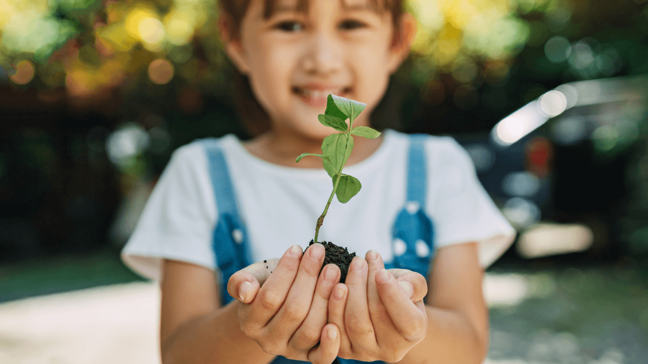 Seed Planting with Preschoolers: A Fun Way to Learn About the Life ...