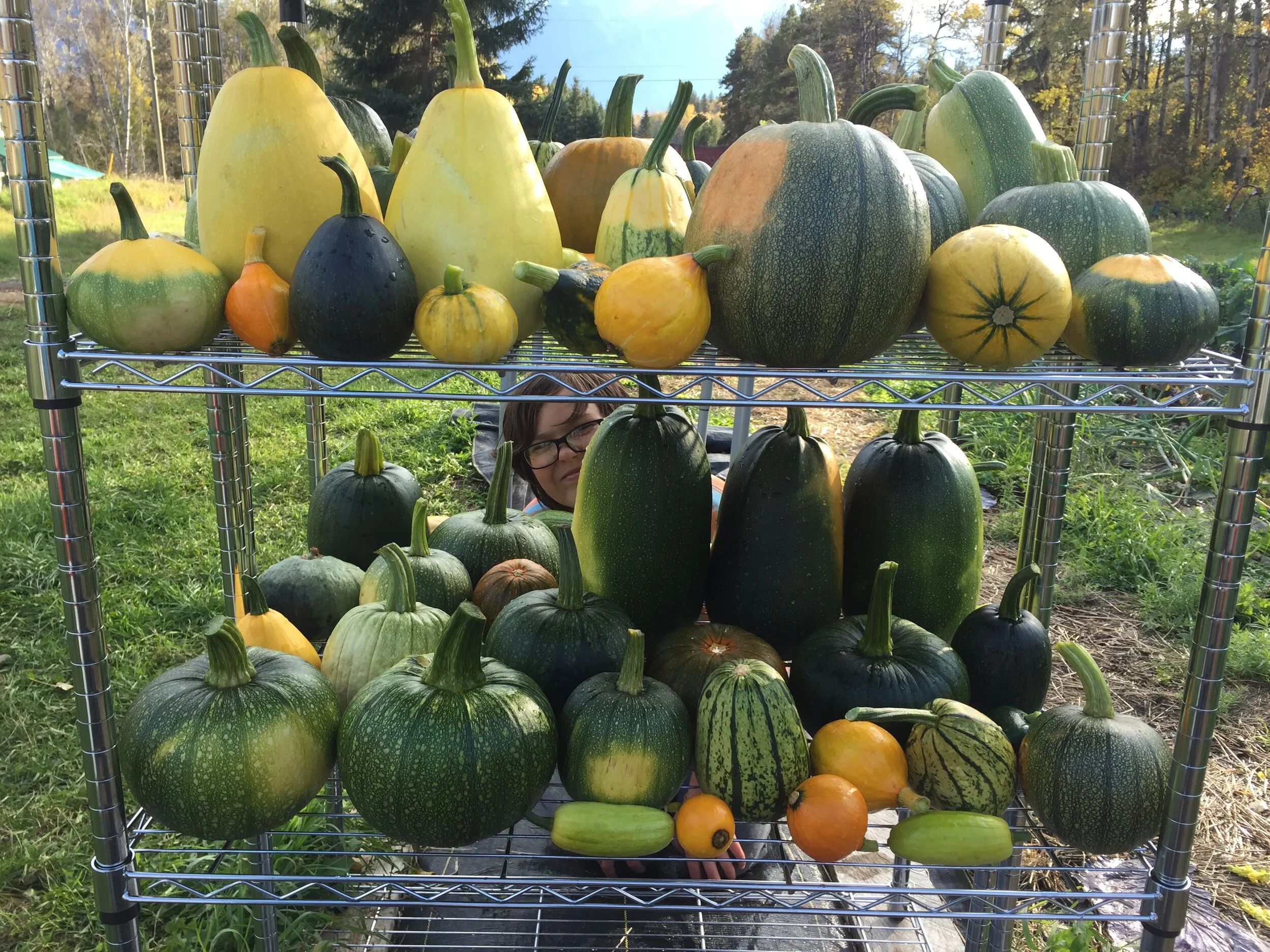 Tea Creek Training and Employment