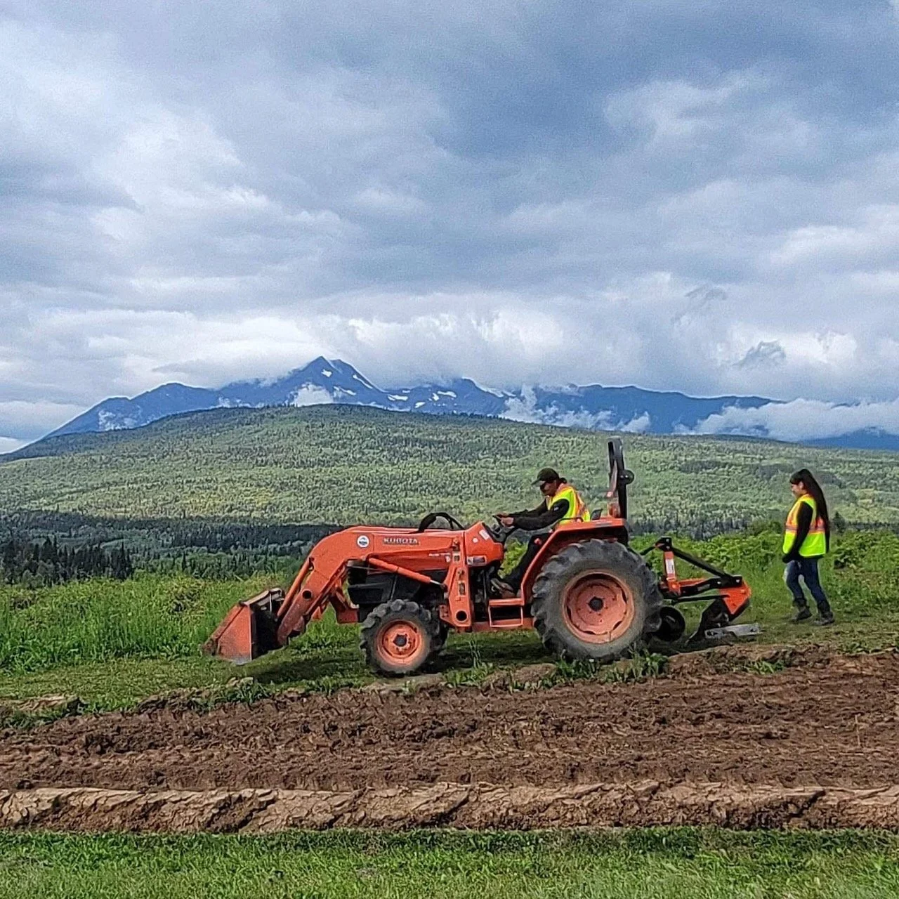 Tea Creek Training and Employment
