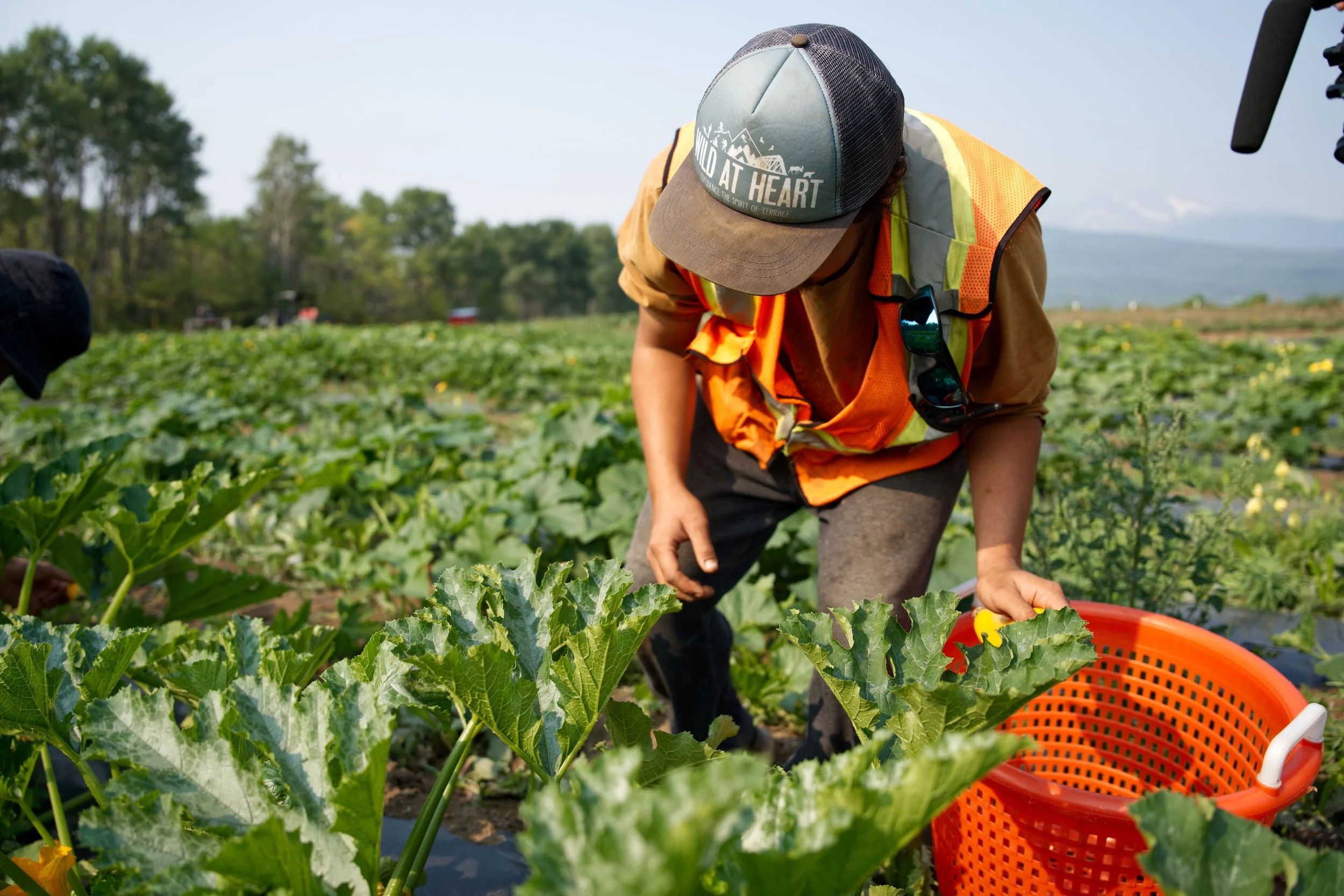 Tea Creek Training and Employment