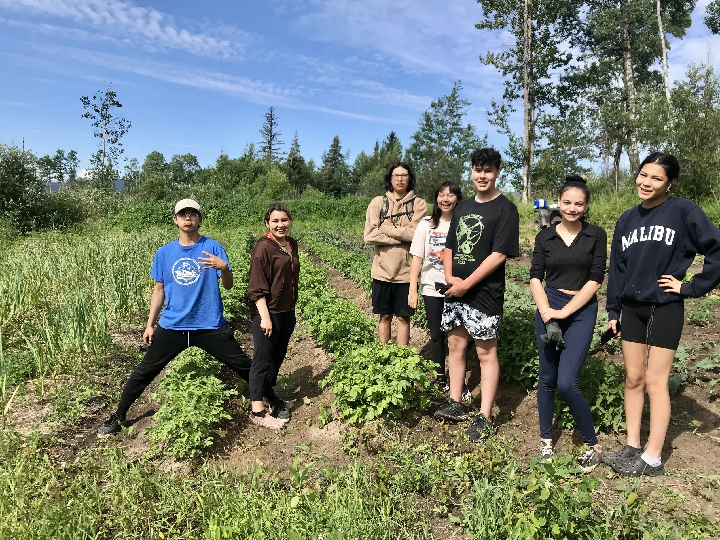 Tea Creek + IFSA Impact Report 2024 — Tea Creek Training and Employment