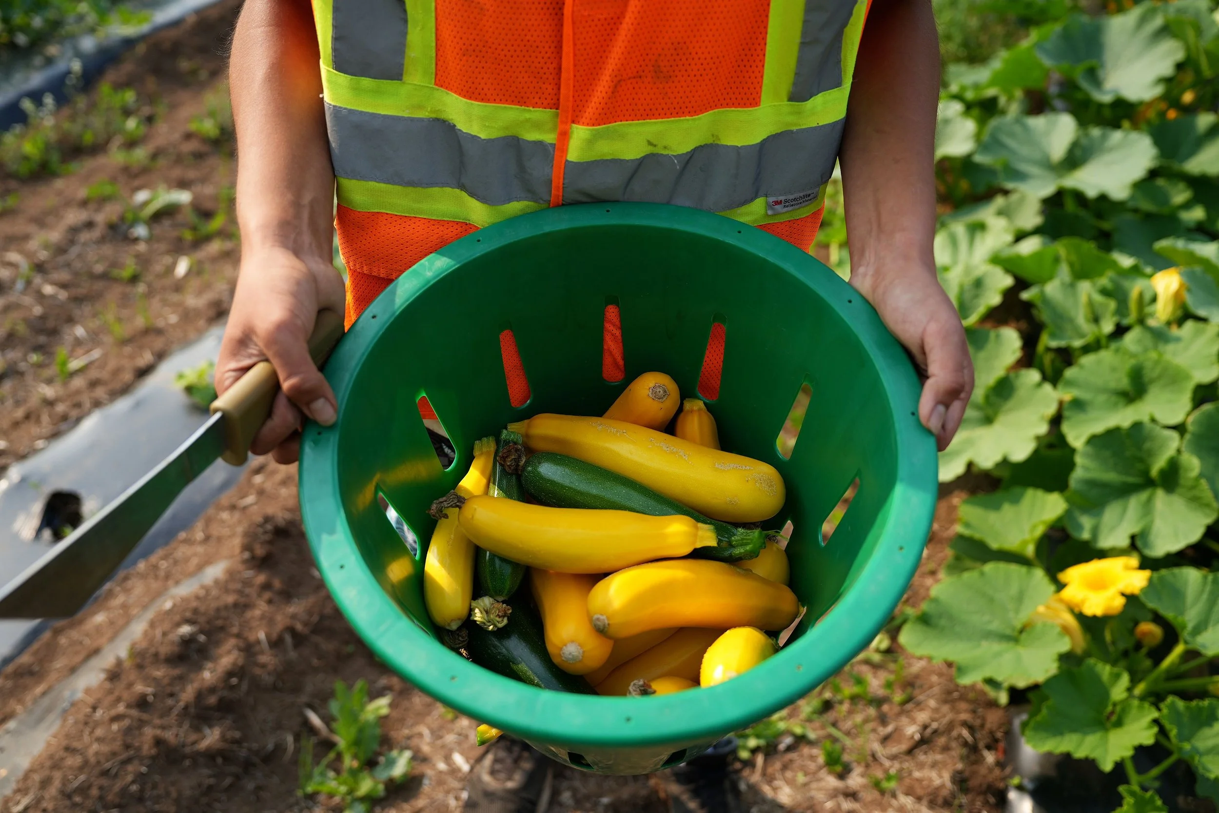 Tea Creek Training and Employment