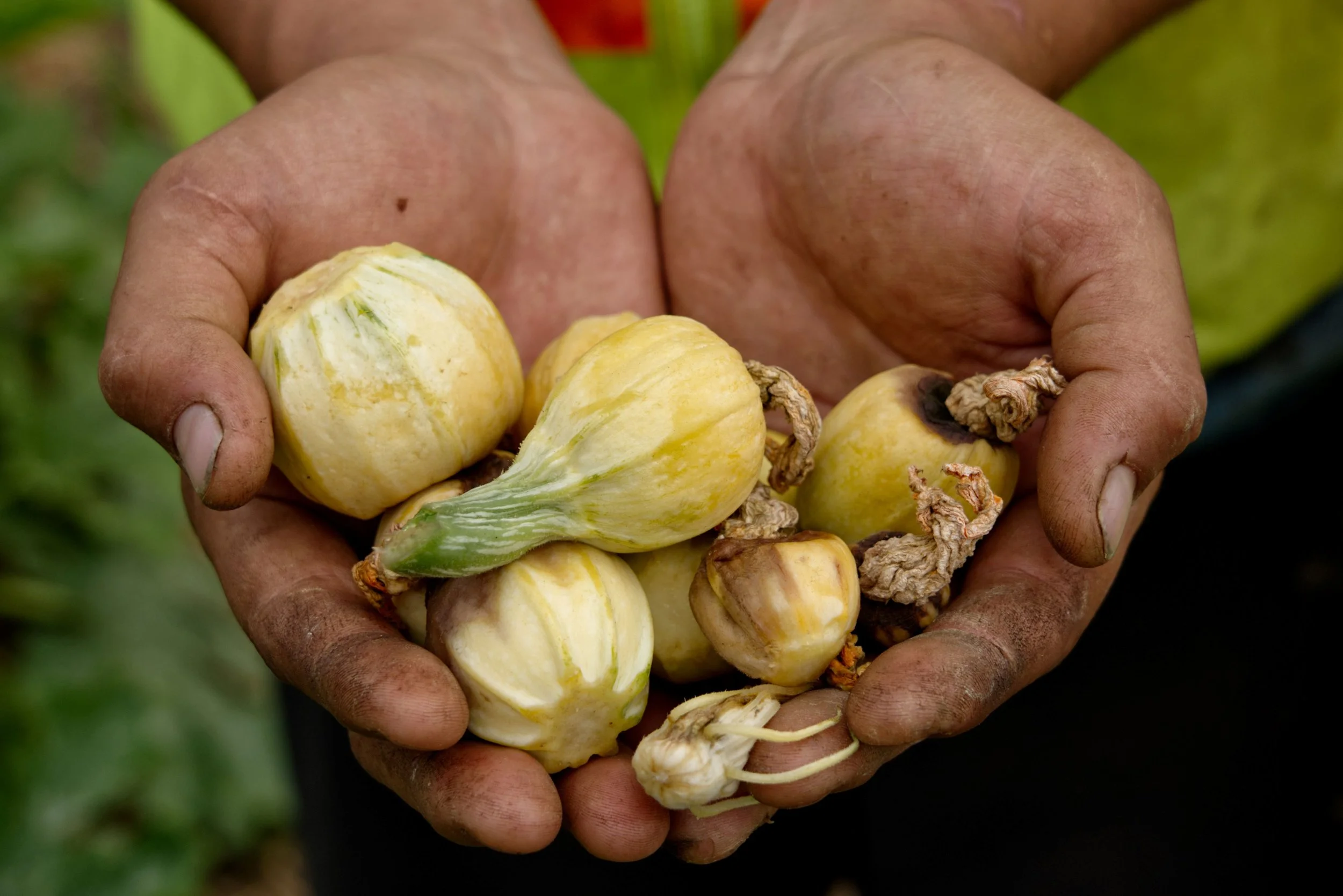 Tea Creek Training and Employment