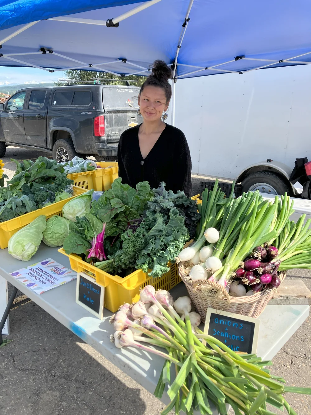 Tea Creek + IFSA Impact Report 2024 — Tea Creek Training and Employment