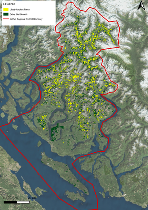 MAPS — qathet Old Growth