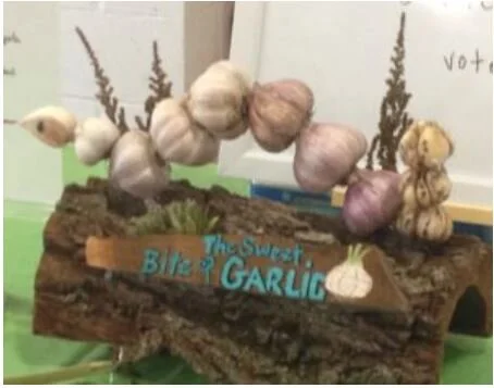 Garlic-Growing Contest — MN Garlic Festival