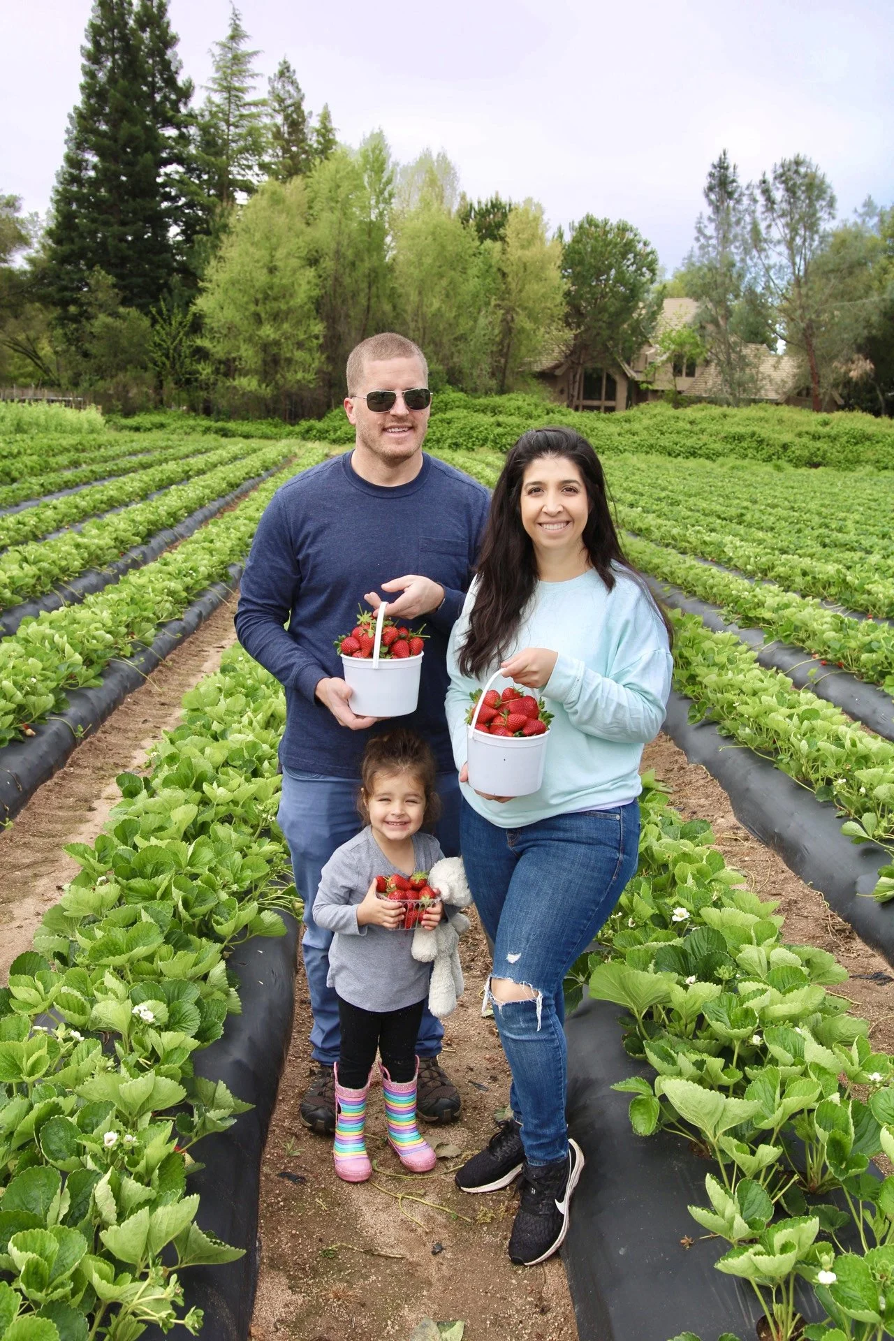 Granny May's Strawberry Farm