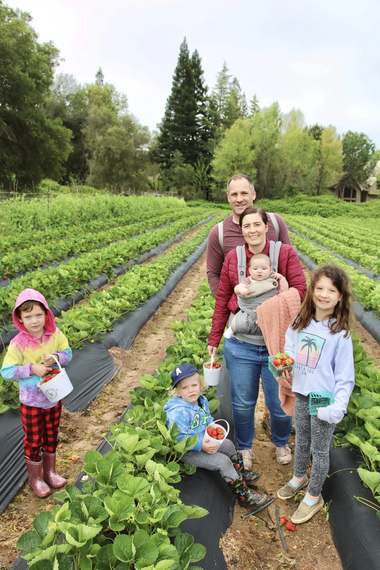 Granny May's Strawberry Farm