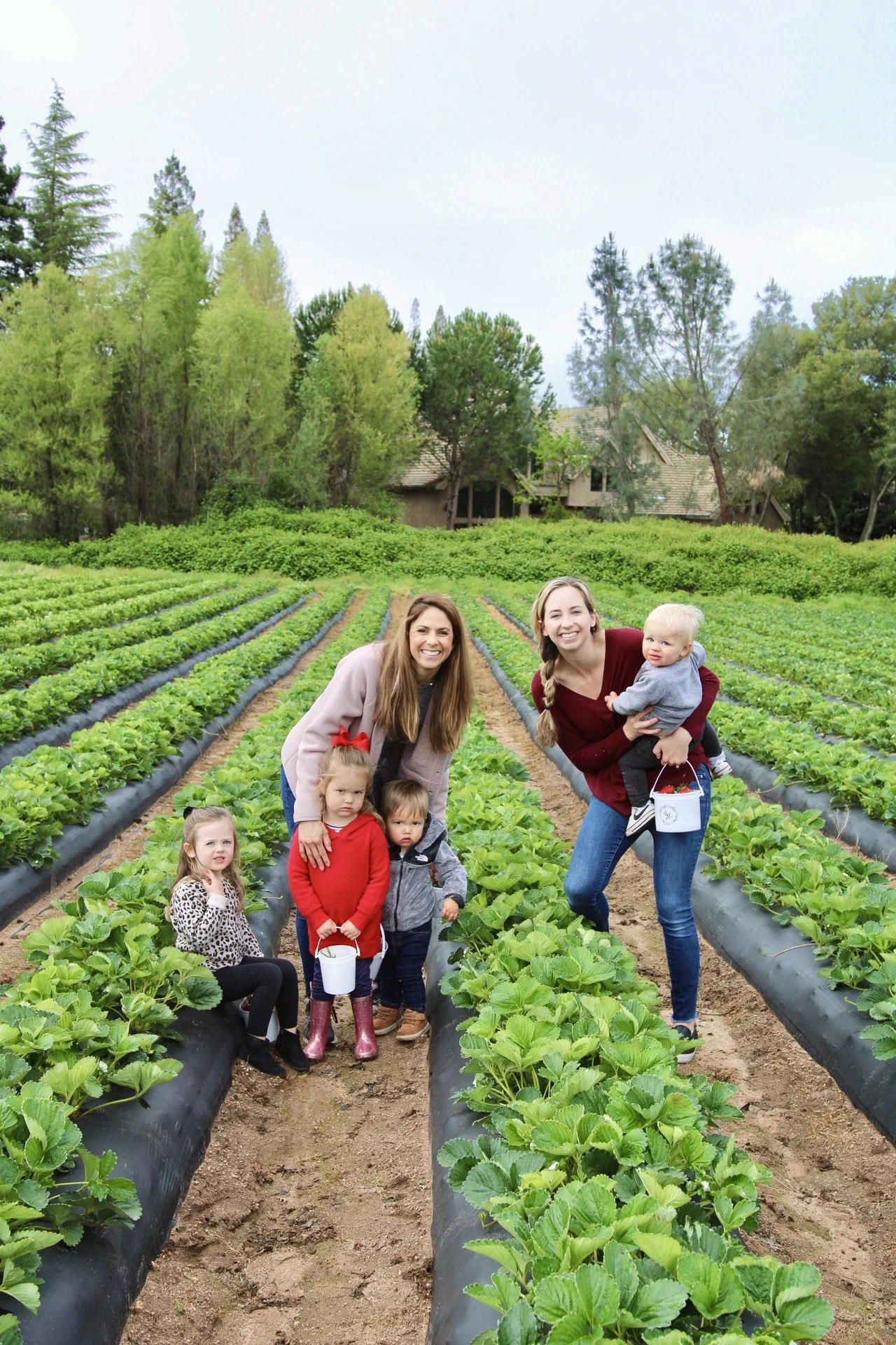 Granny May's Strawberry Farm