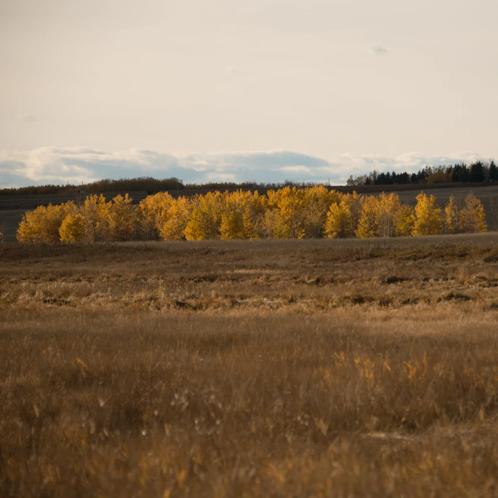 Canada — Jennifer Peters Photo