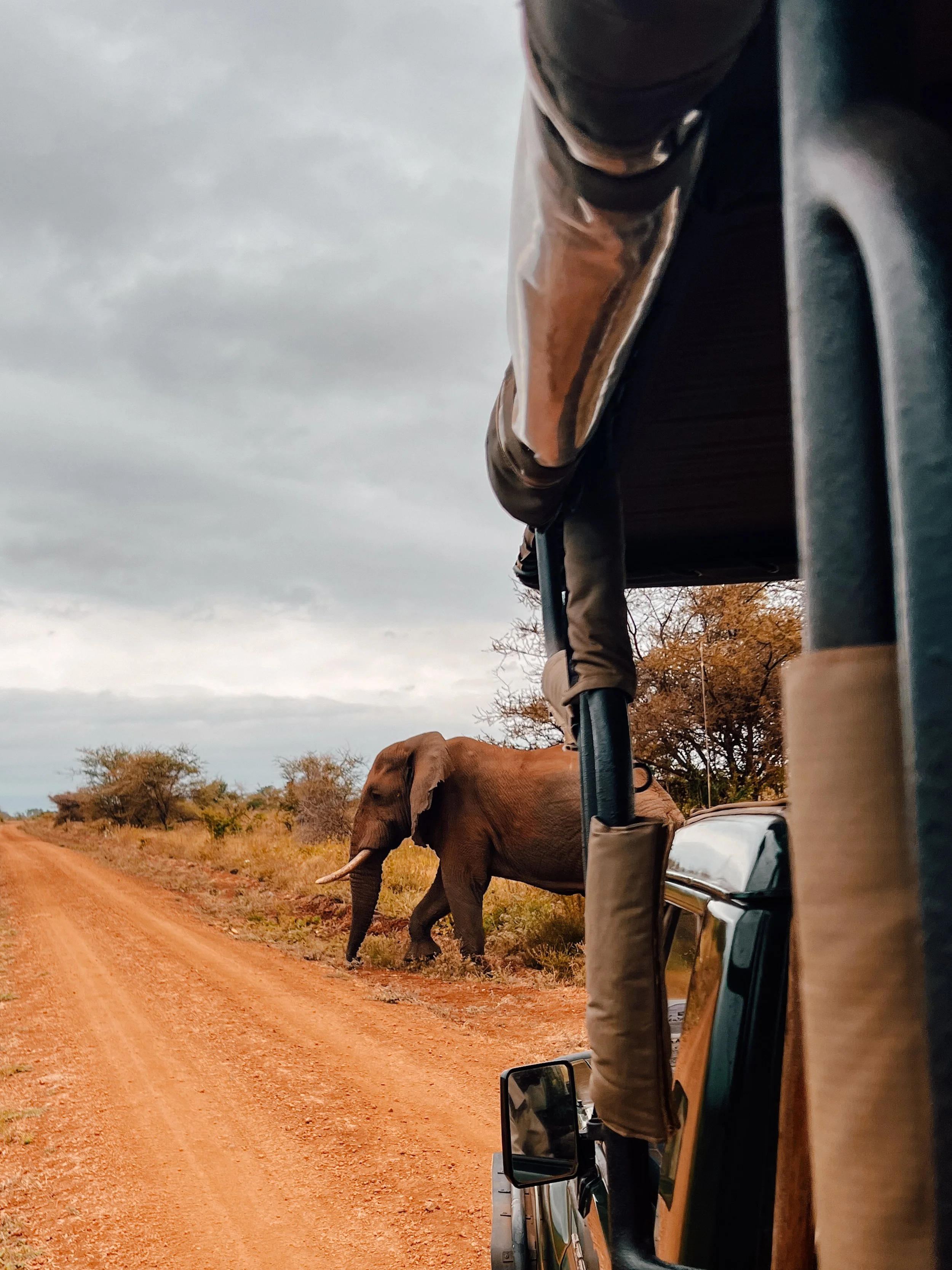 Hotel Review: Elewana Elsa's Kopje — Running with Woolf