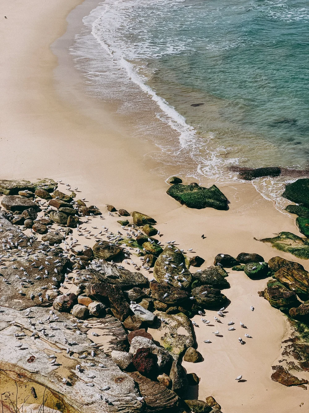 The Ultimate Guide to Sydney’s Bondi Beach, Australia — Running with Woolf