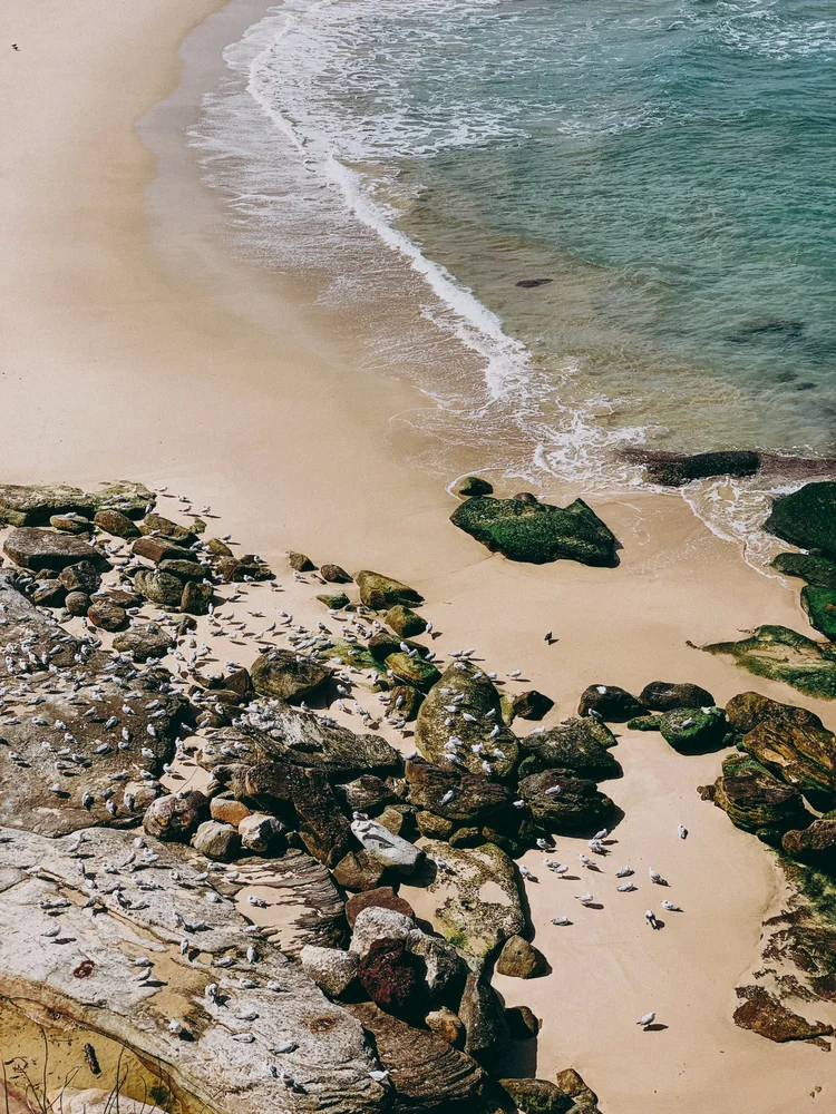 The Ultimate Guide to Sydney’s Bondi Beach, Australia — Running with Woolf