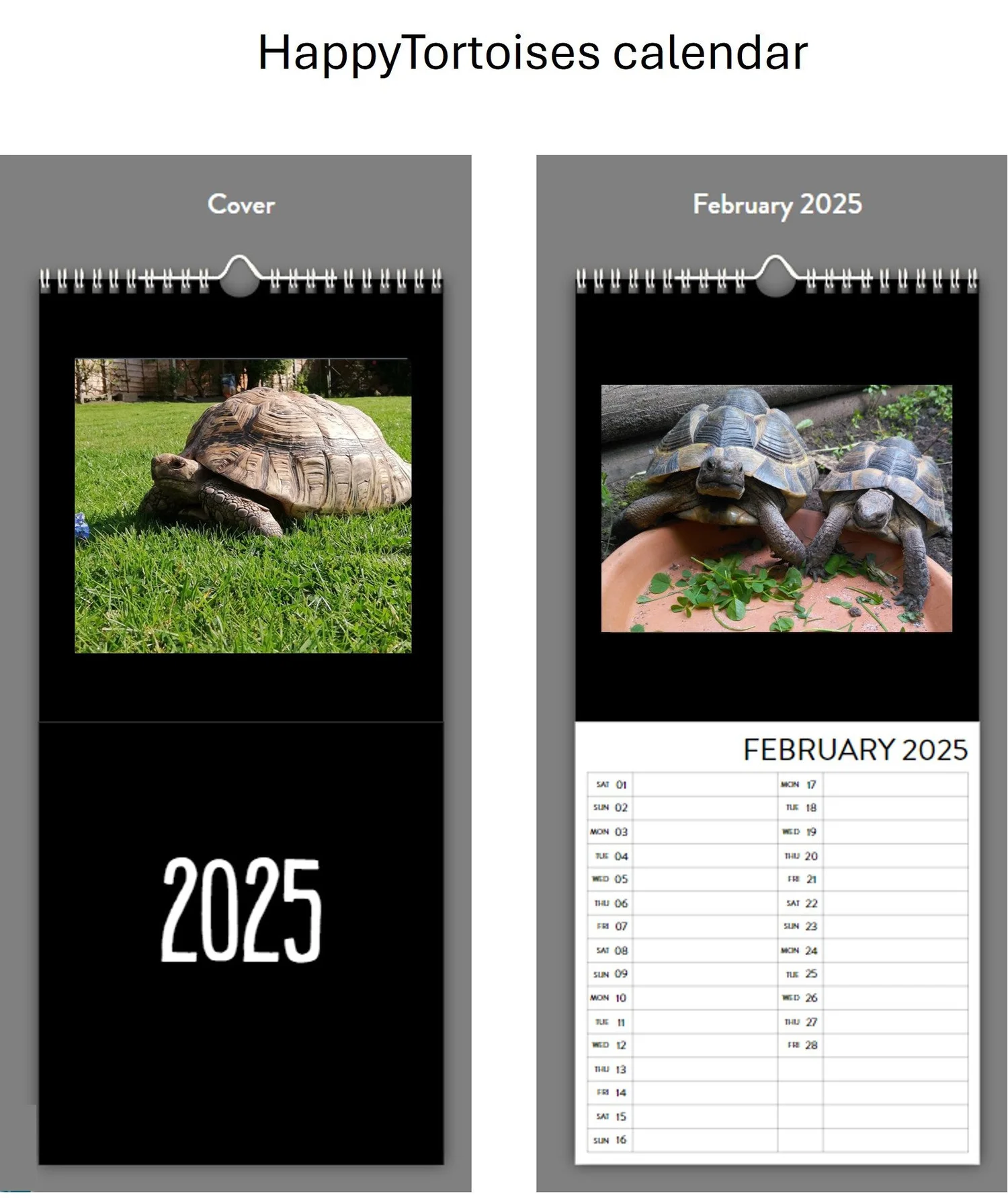 HappyTortoises Club Subscription — HappyTortoises