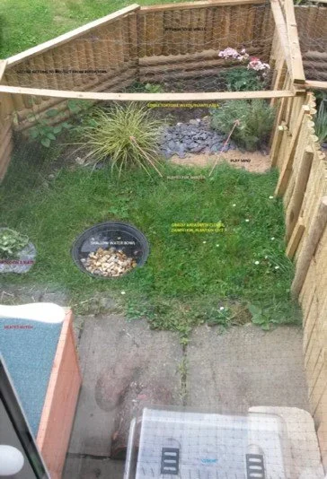 Tortoise Setup Guide: Enclosure, Heating, UVB & Habitat Essentials ...