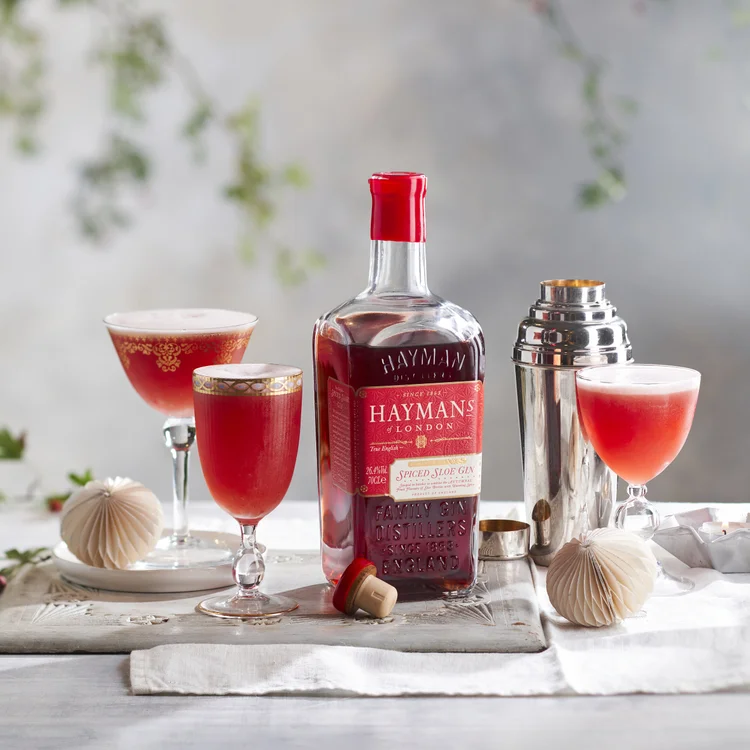 Fed Up Of Dry-January? Why Not Try Gin-uary Instead - Here's 15 Unique ...