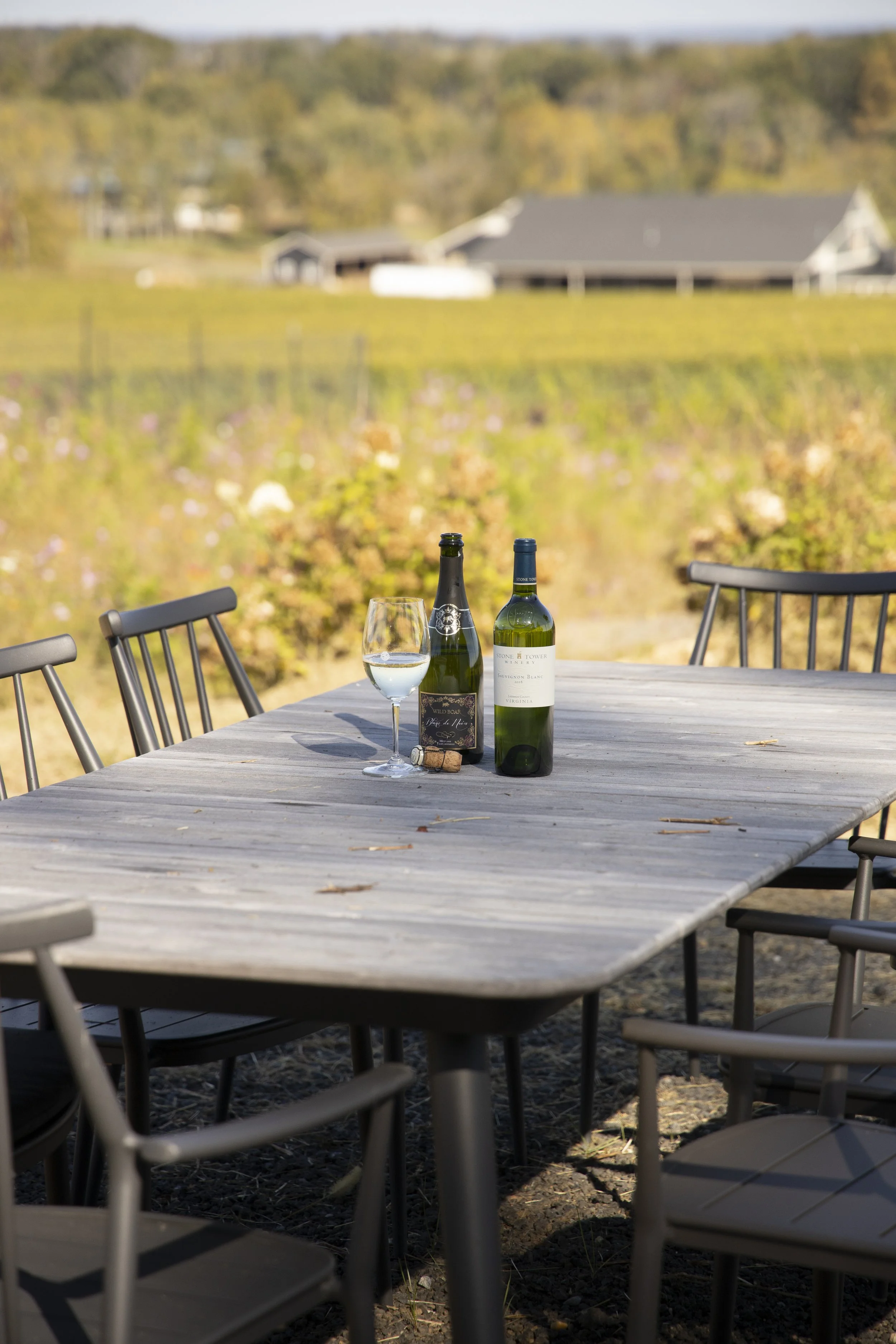 Virginia Winery Tours and Tastings | Stone Tower Winery