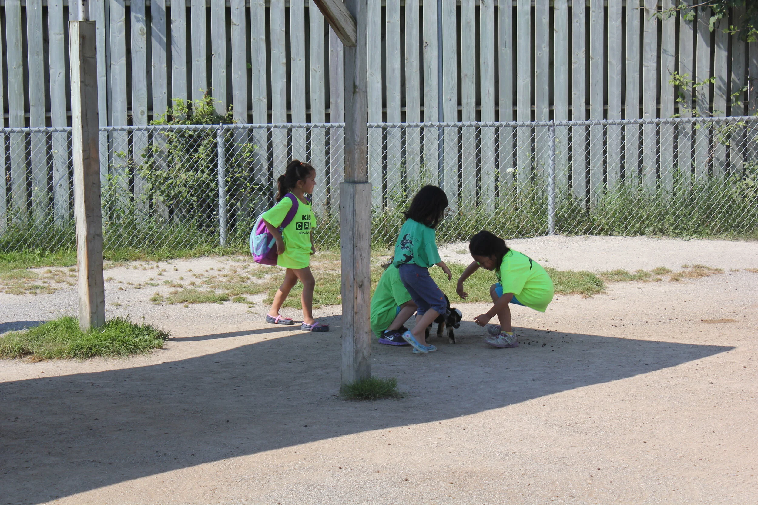 Kids Summer Camp Oakville, Clarkson, Martial Arts West Mississauga ...