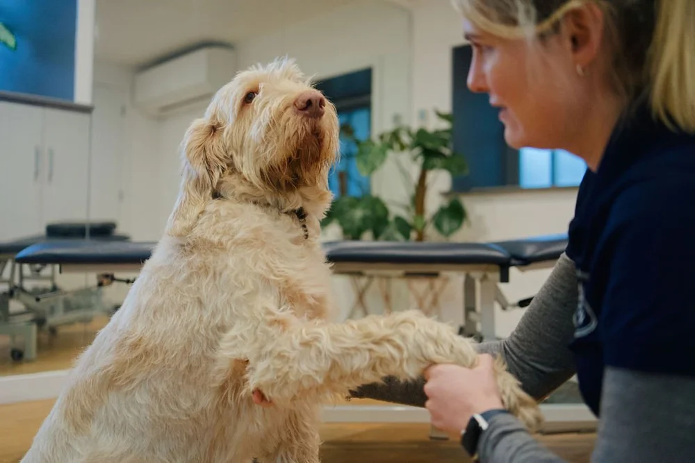 Osteopath in Suffolk