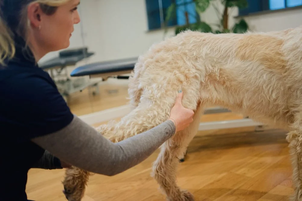 Osteopath in Suffolk