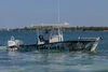 Calcutta 263 Catamaran — Calcutta Marine International LLC