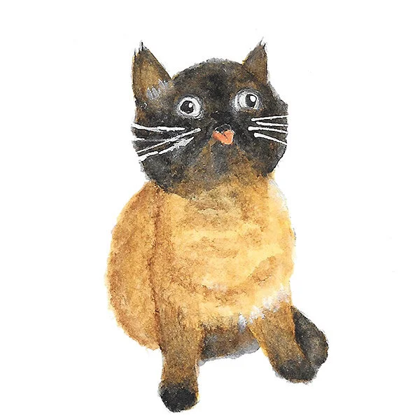 A Year of Cats — Ikiru the cat
