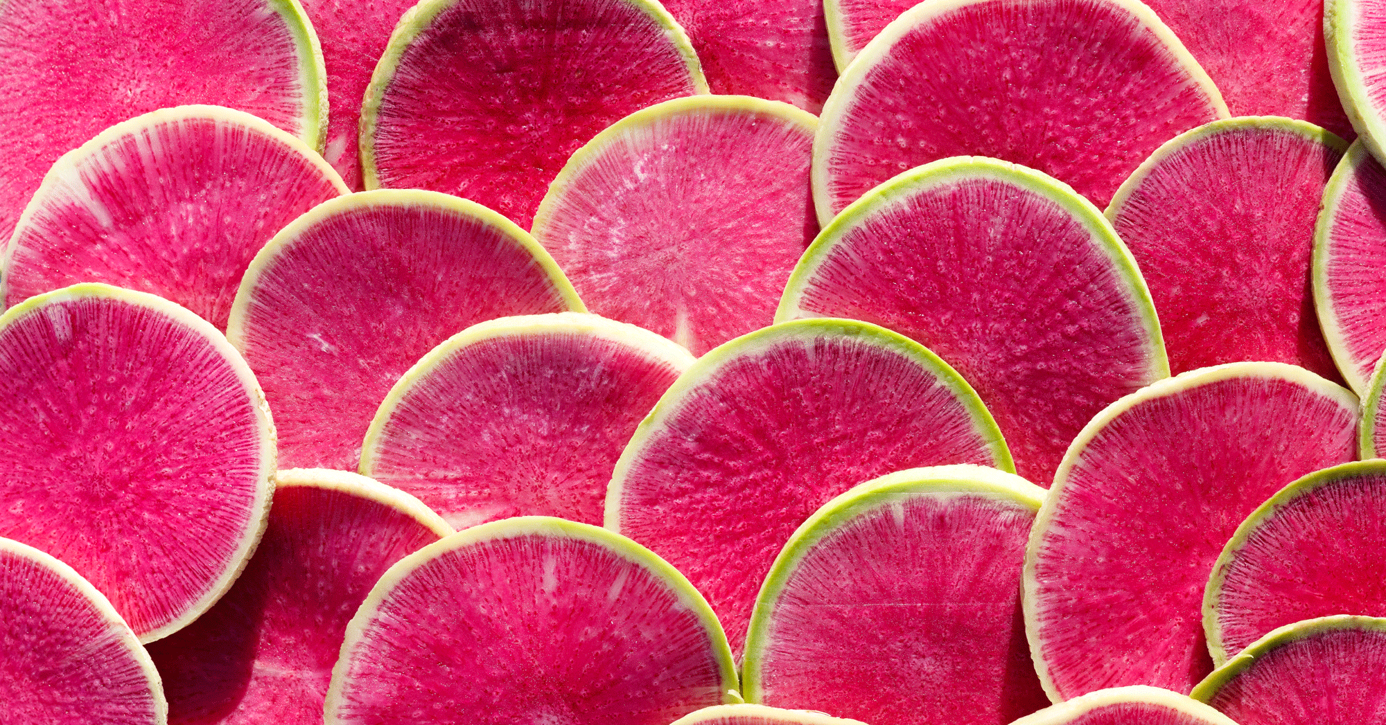 Radish Kitchen - Fresh Eats Served Daily