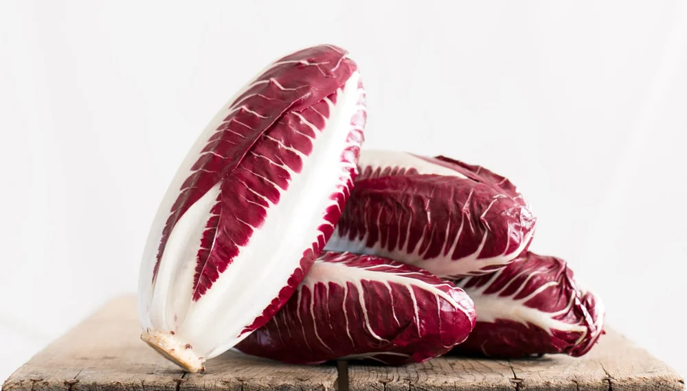 Treviso — J. Marchini Farms
