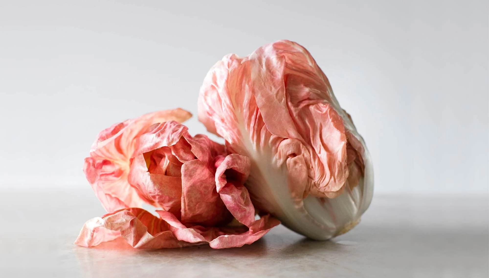 Radicchio Rosa — J. Marchini Farms