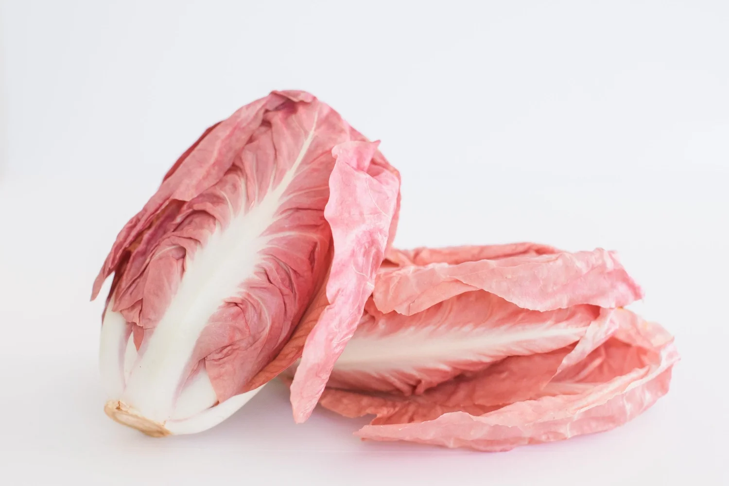 Radicchio Rosa — J. Marchini Farms
