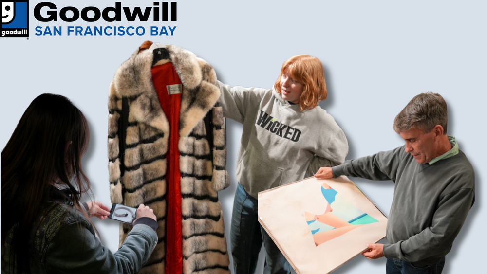 blog.shopgoodwill.com