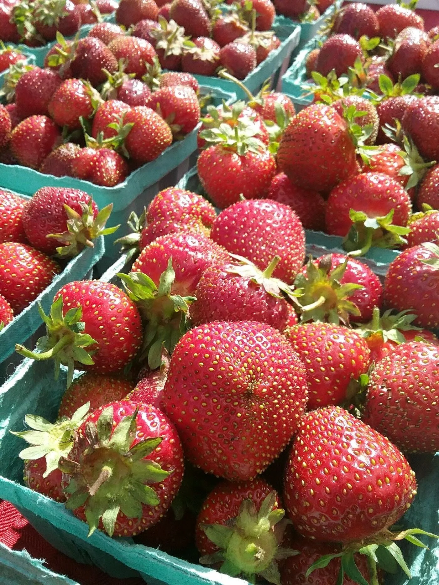 Van Laar's Fruit Farm