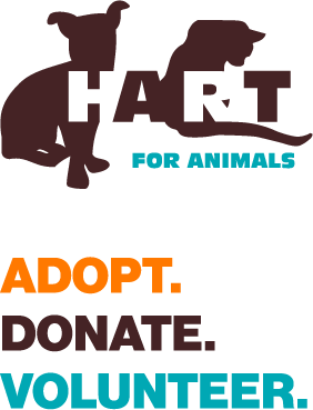 Meet the Pets | Explore Adoption Options — HART For Animals