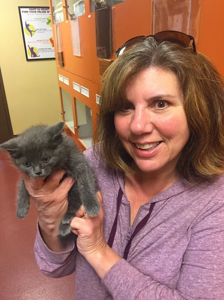 Our Leadership | Meet Our Leaders — HART For Animals