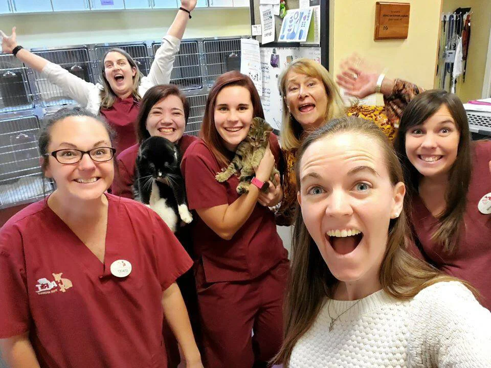 Clinic Virtual Tour — HART For Animals