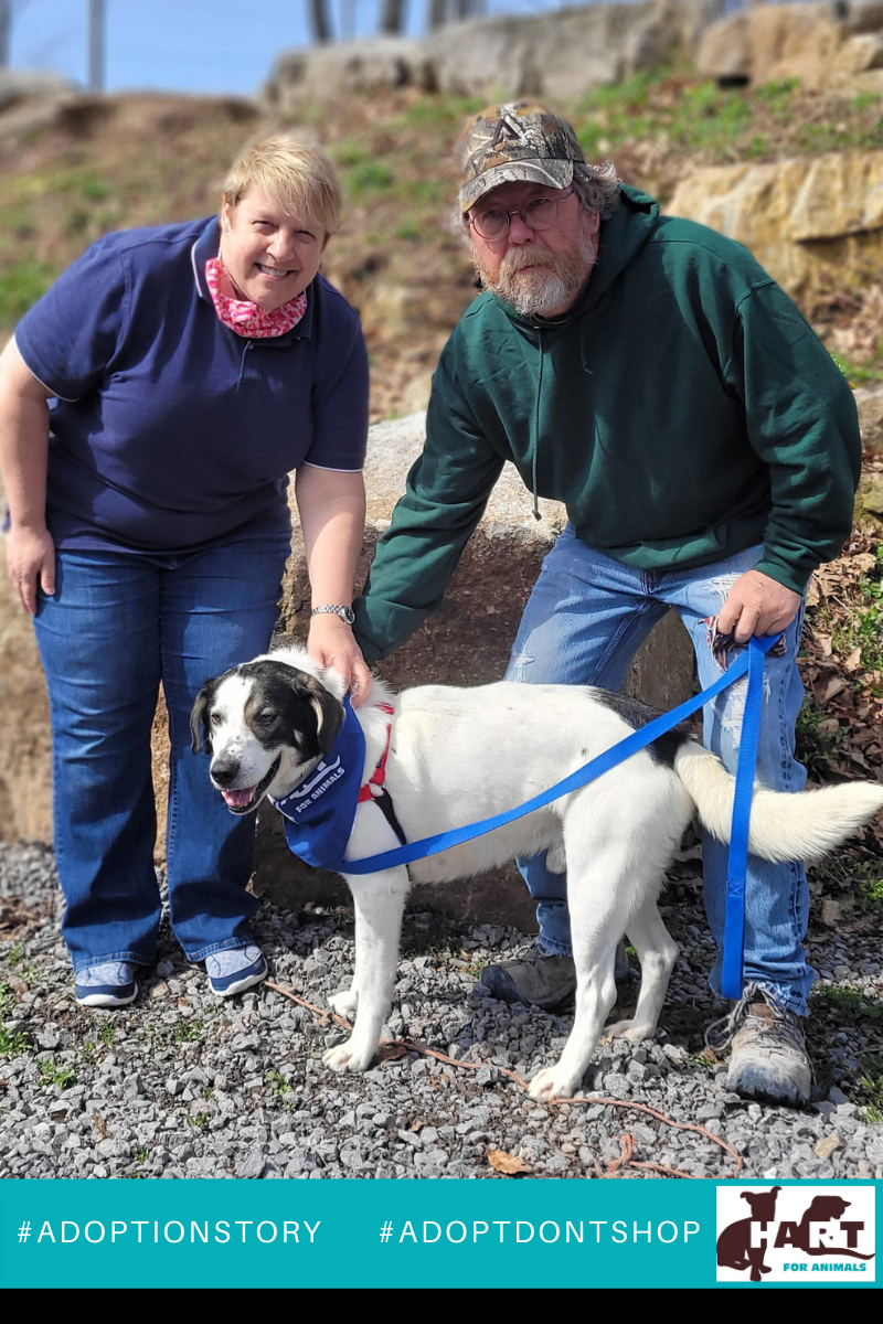 Adoption Story: Hero — HART For Animals